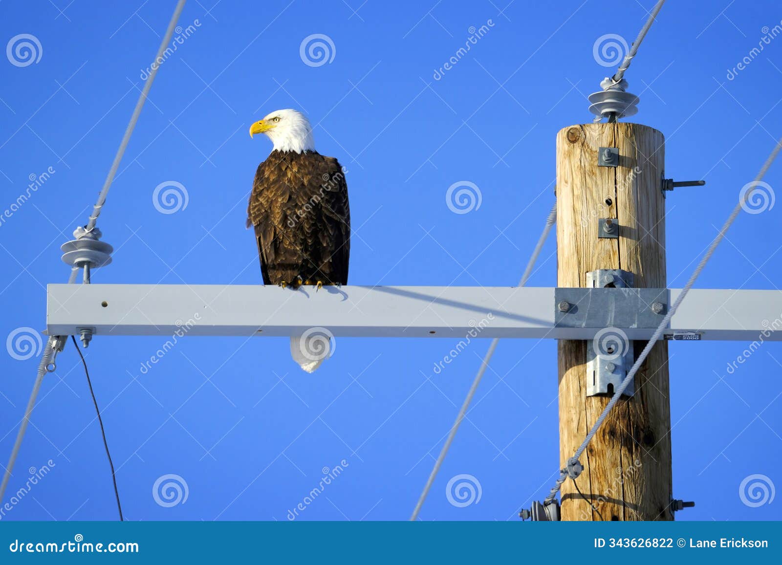 Power Pole Support. Fastening The Base Of The Support With Bolts Stock ...