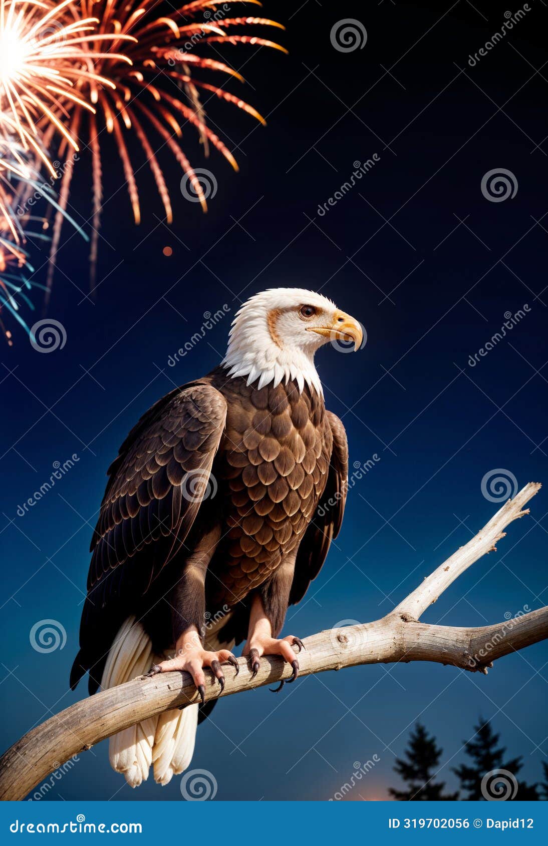 A Bald Eagle Sitting on a Branch with Fireworks in the Background Stock ...