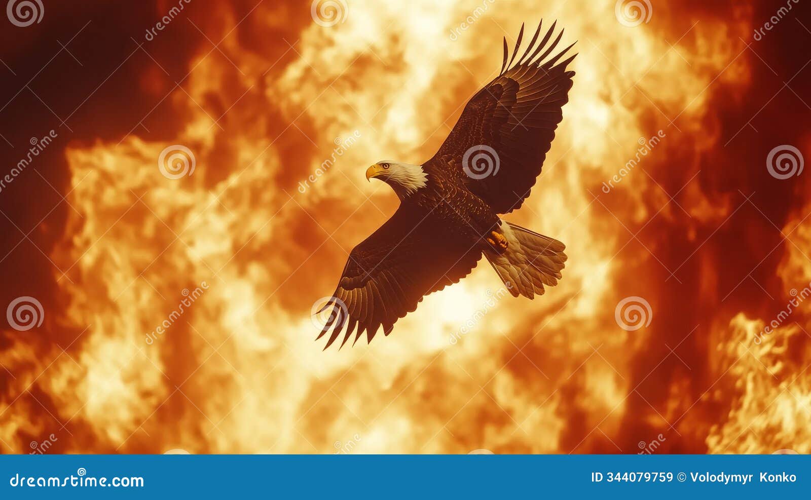 Bald Eagle Soaring in Front of Intense Flames, Symbol of Strength and ...