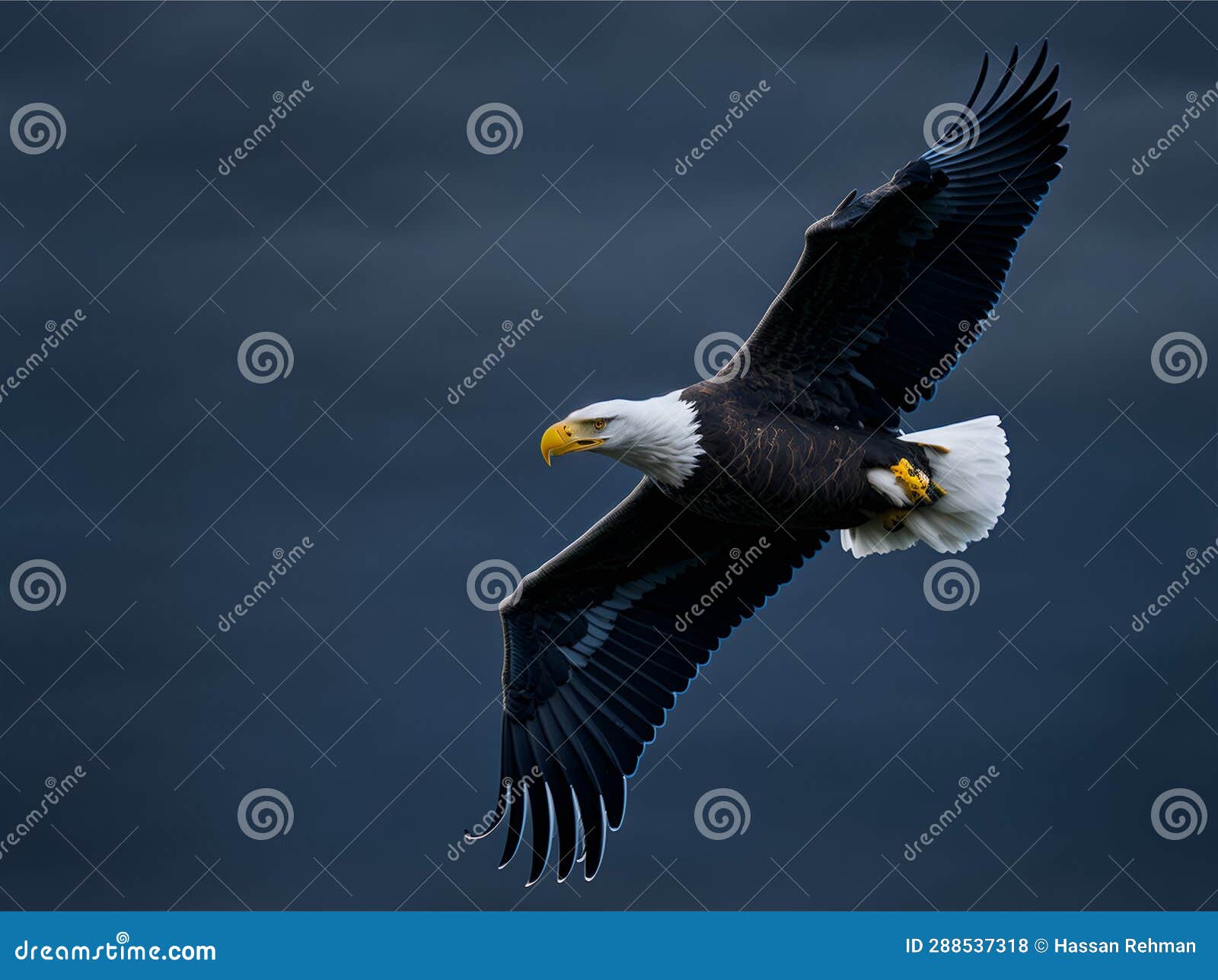 AI-Generated, Bald Eagle And US Flag, Independent Day, Freedom Royalty-Free Stock Photography ...