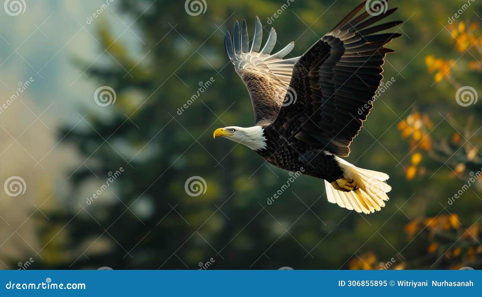Bald Eagle Soaring Over, Bald Eagle Landing Swoop Attack. AI Generative ...