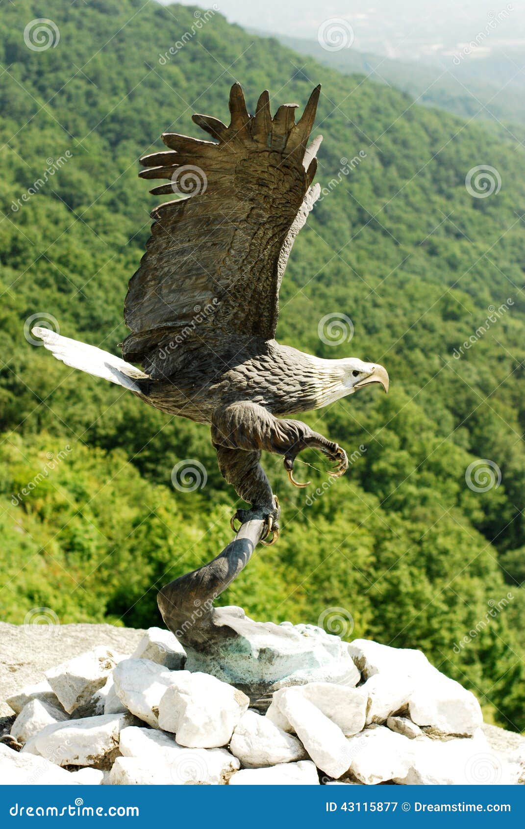 Bald Eagle statue stock image. Image of statue, lookout - 43115877