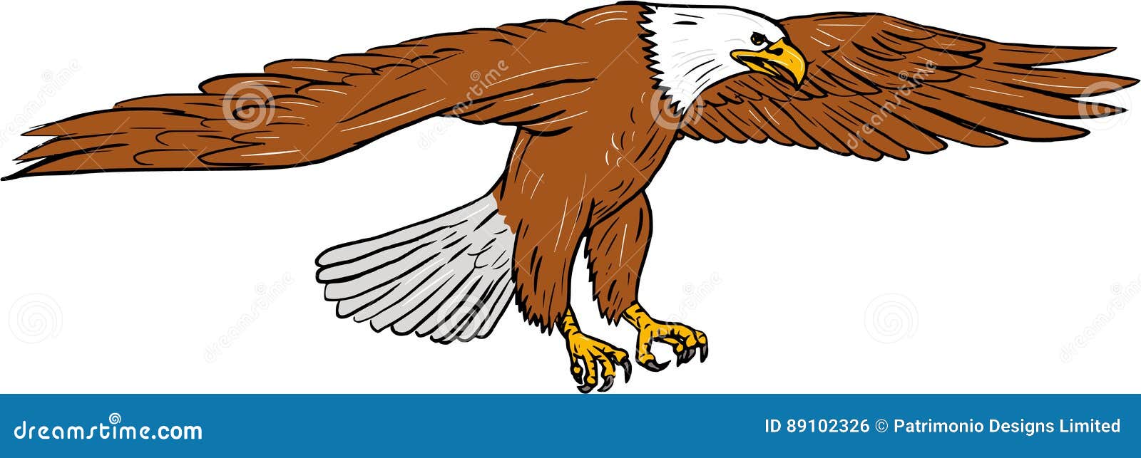 Swooping Eagle Vector Illustration | CartoonDealer.com #89684050