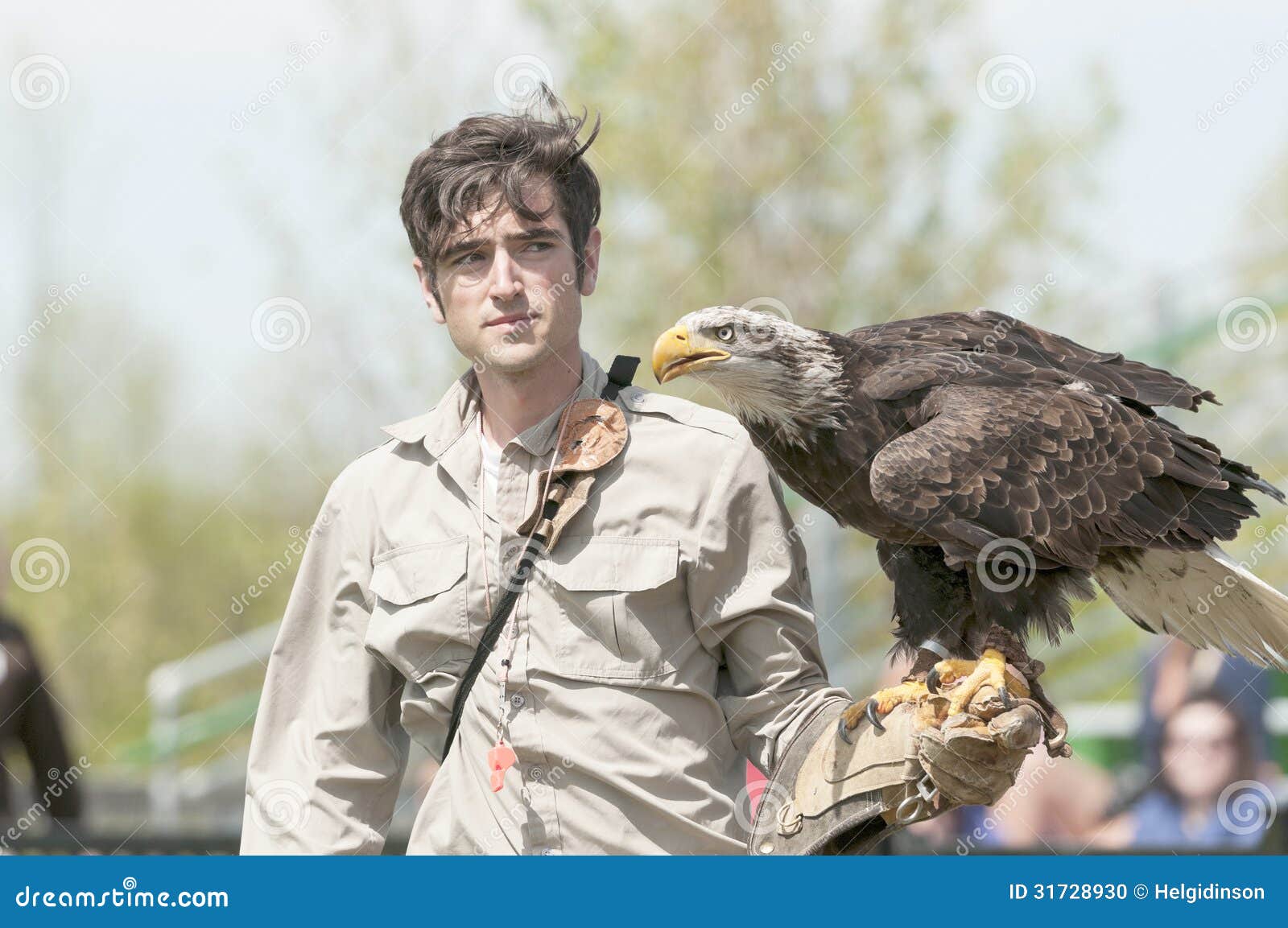 Bald eagle in trainers arm editorial image. Image of eagle - 31728930