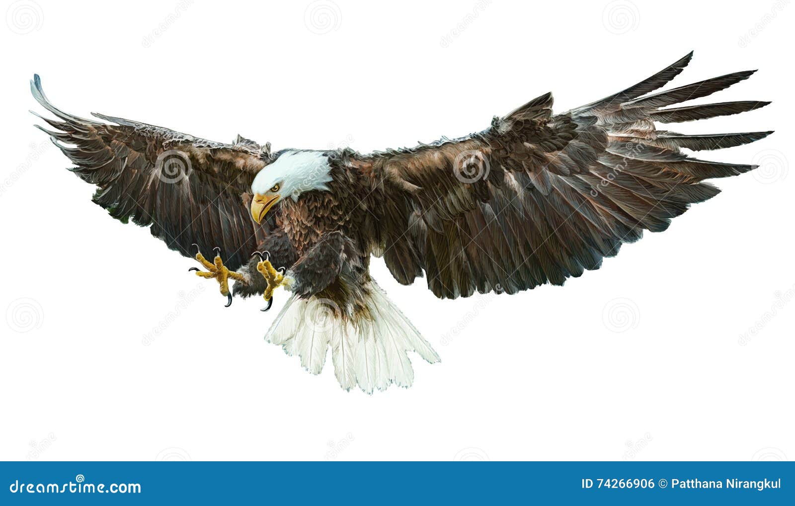 Bird Swoop Stock Illustrations – 296 Bird Swoop Stock Illustrations ...