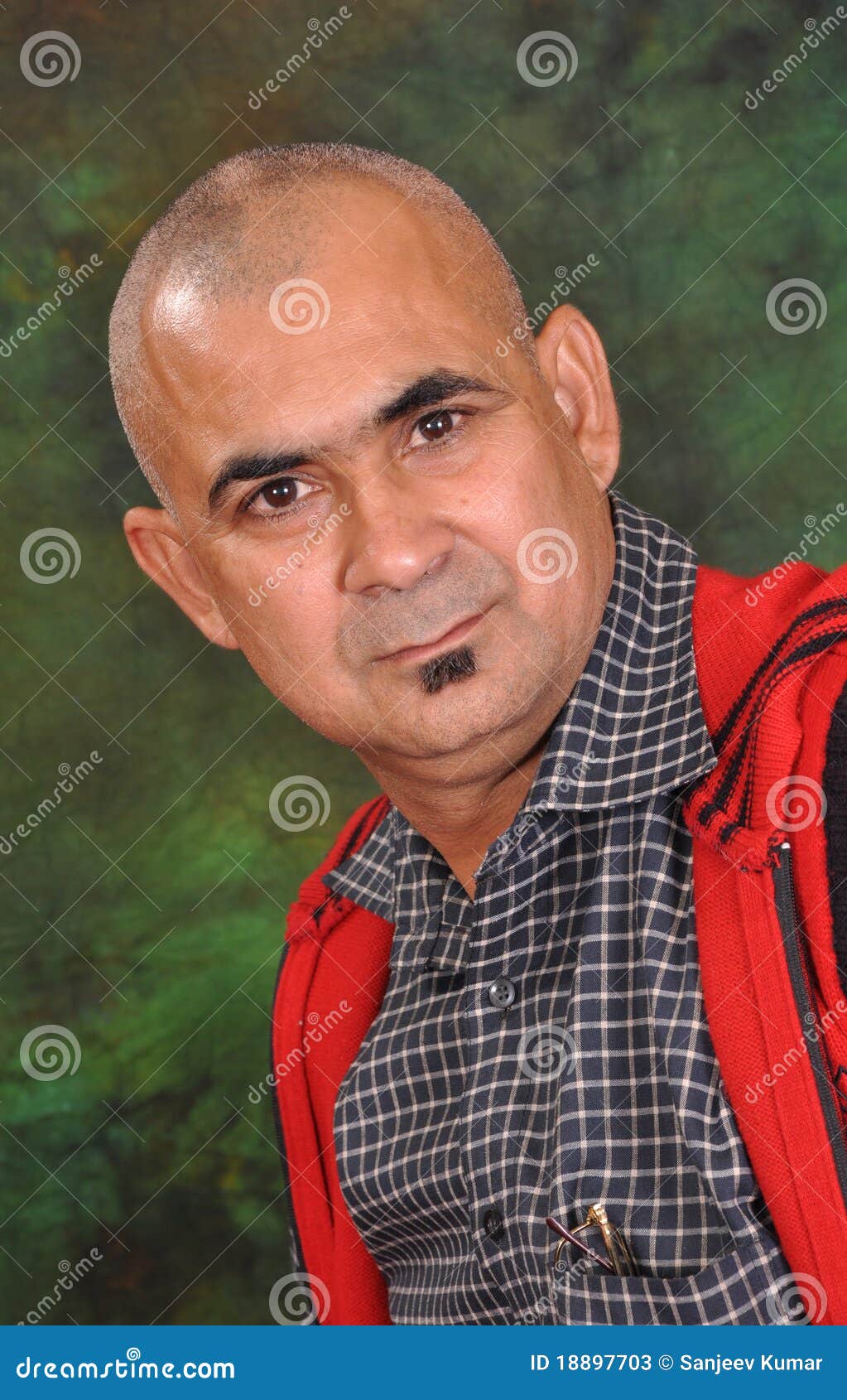 Bald handsome man stock image. Image of ears, eyes, spectacles - 18897703