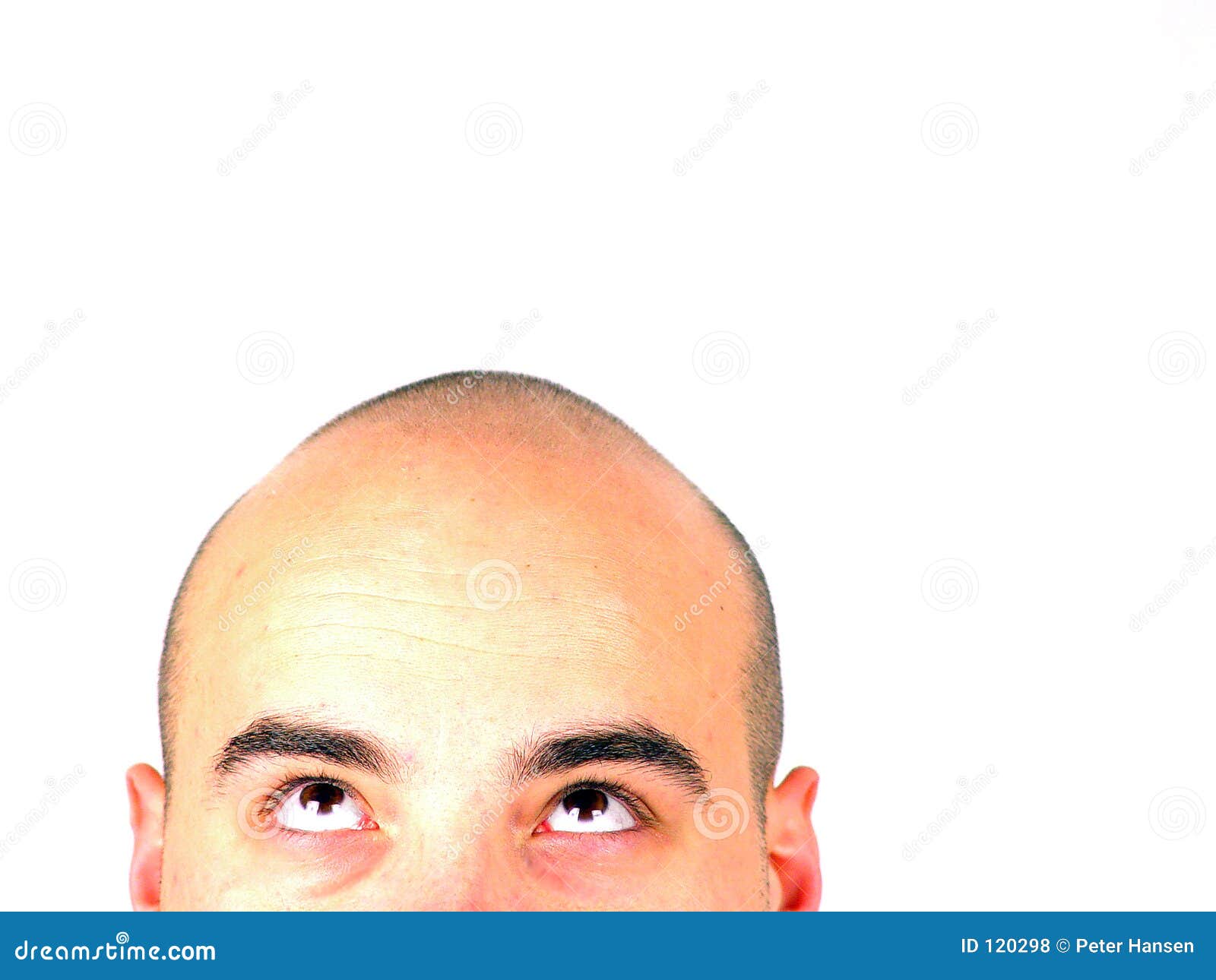 Bald head looking up stock photo. Image of businessman - 120298