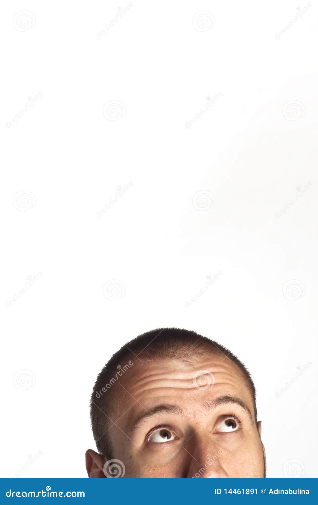 Bald head looking up stock image. Image of bald, mature - 14461891