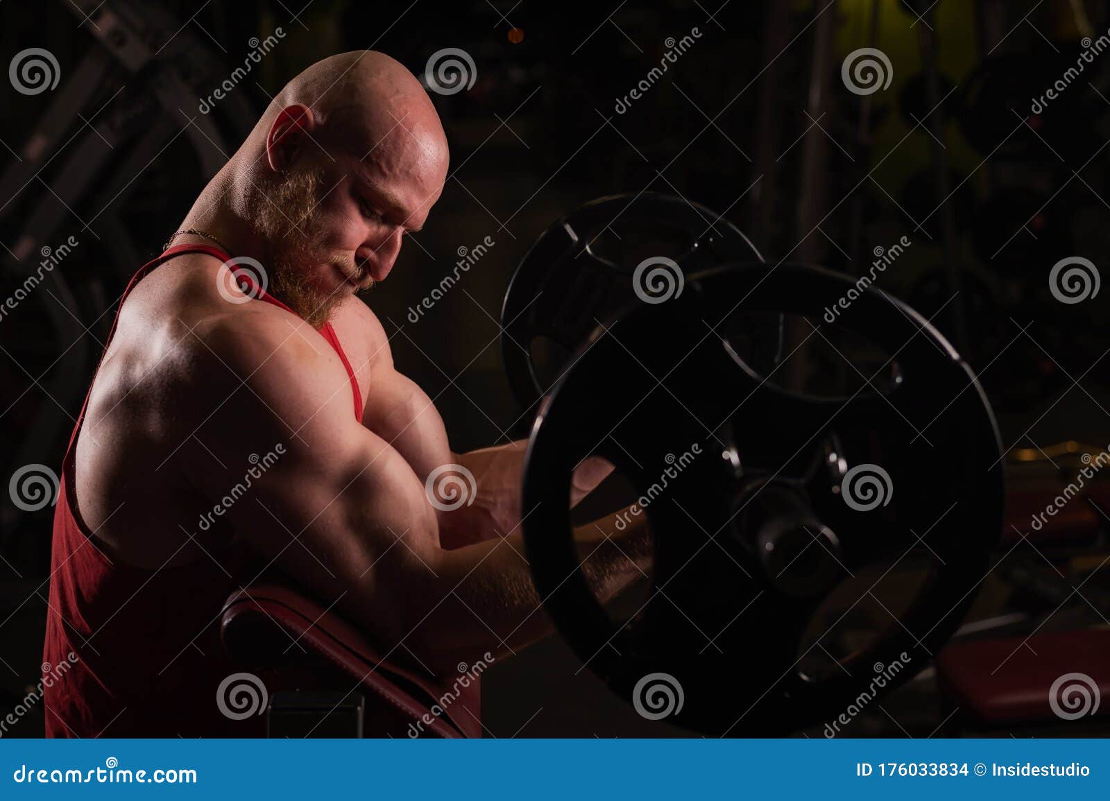 A Bald Man with a Beard Does an Exercise for Biceps with a Barbell. the ...
