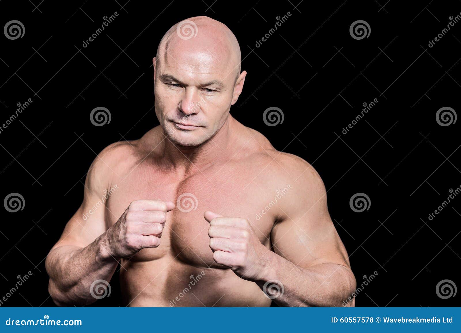 Bald man in boxing pose stock photo. Image of bicep, fist - 60557578