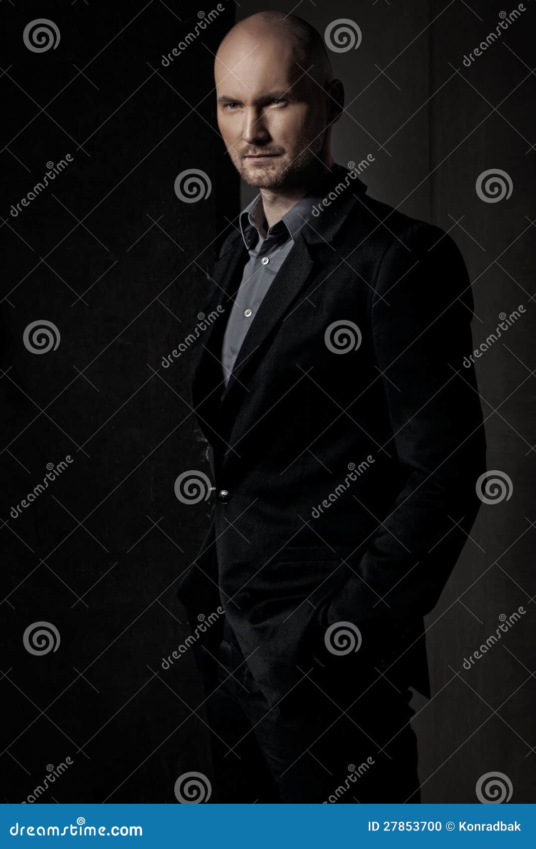 Bald stylish man stock photo. Image of couple, adult - 27853700