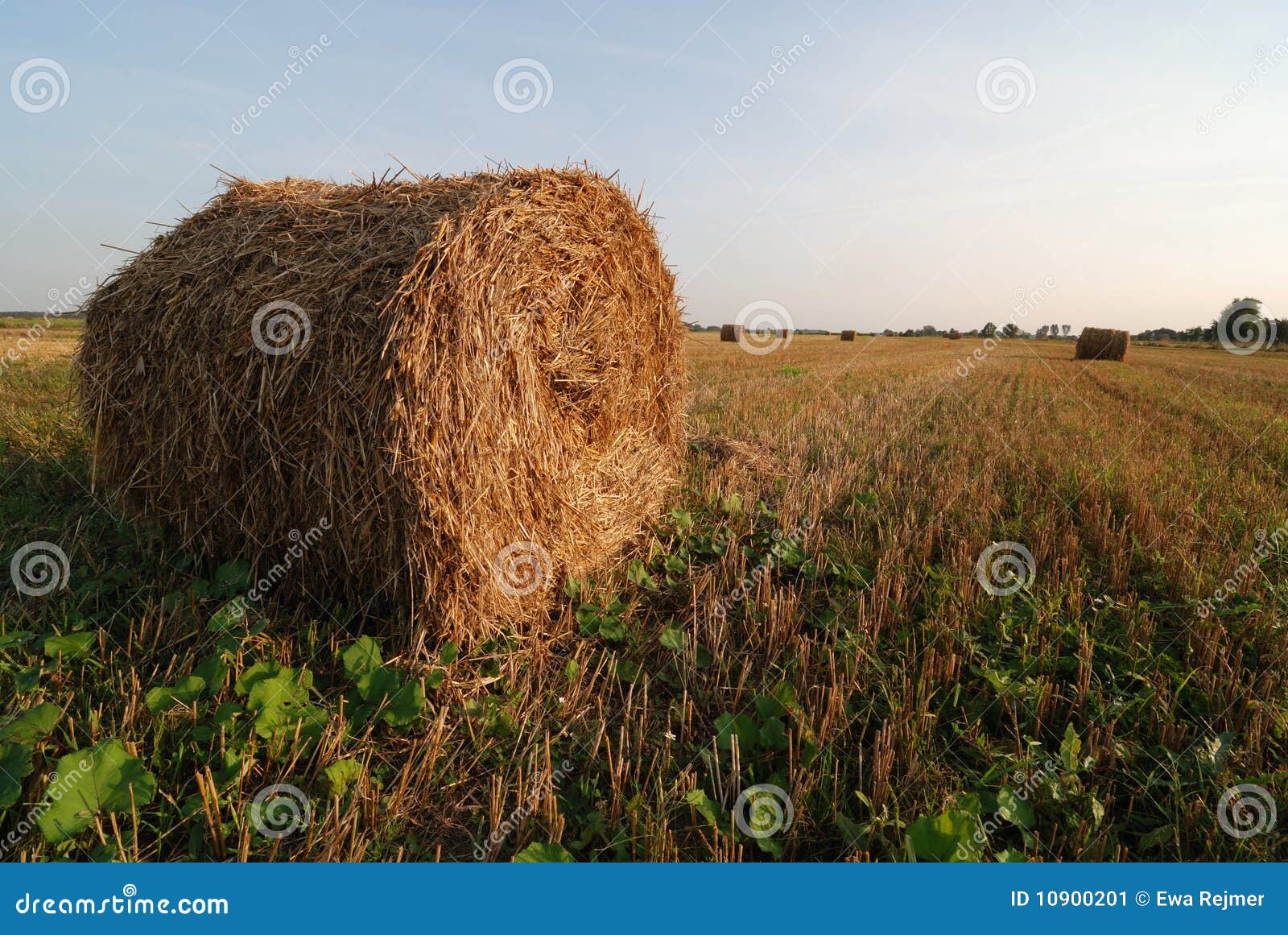Bale stock image. Image of countryside, stack, field - 10900201