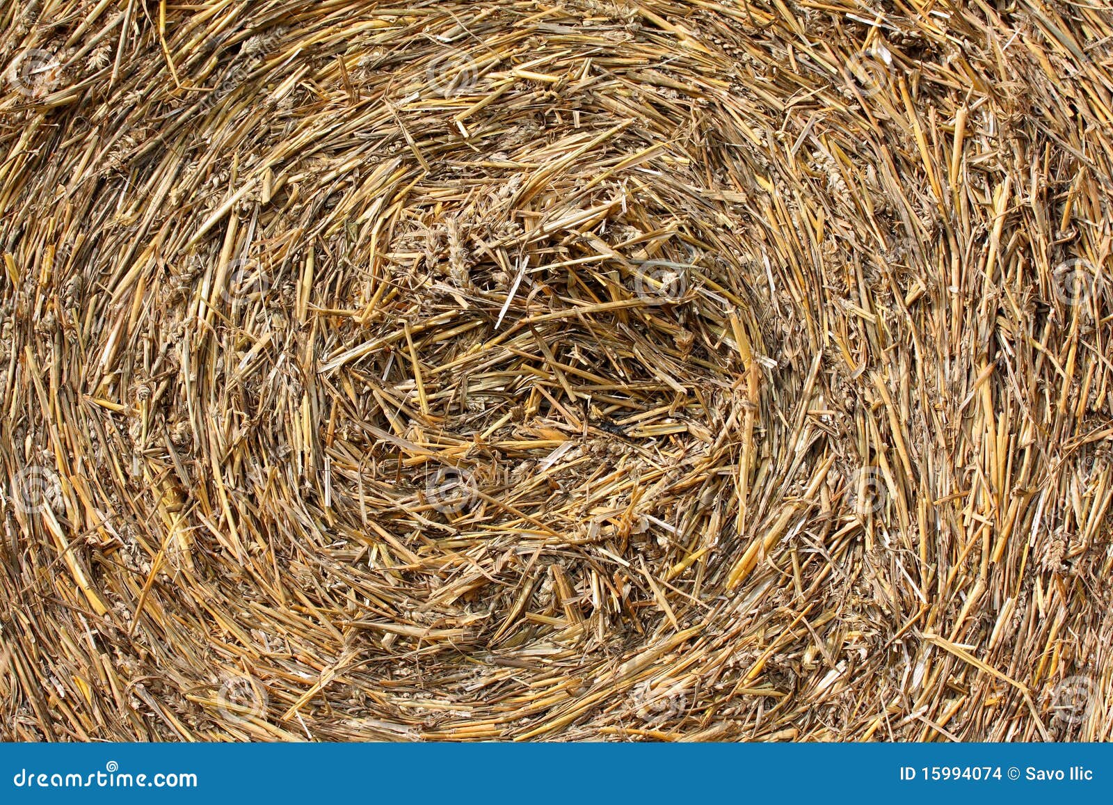 Bale stock photo. Image of agriculture, food, wheat, golden - 15994074