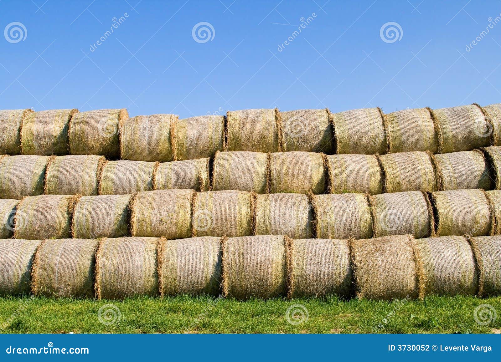 Bale. stock photo. Image of life, food, earth, gold, field - 3730052