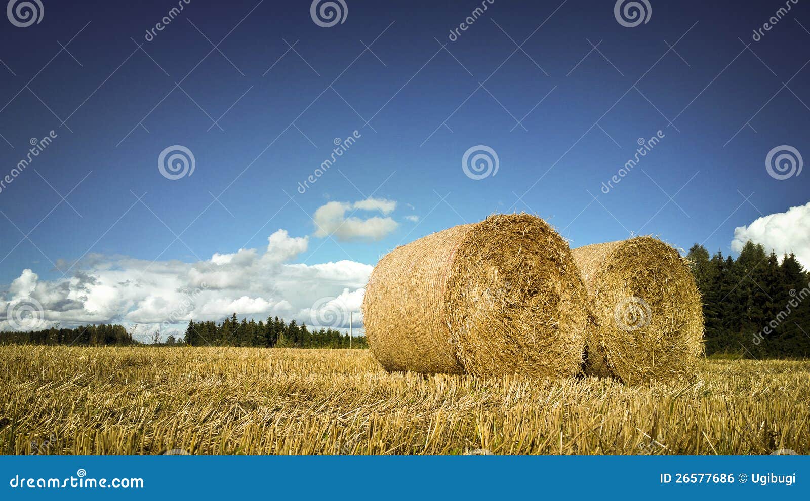 Bale of hale stock photo. Image of natural, clear, grain - 26577686