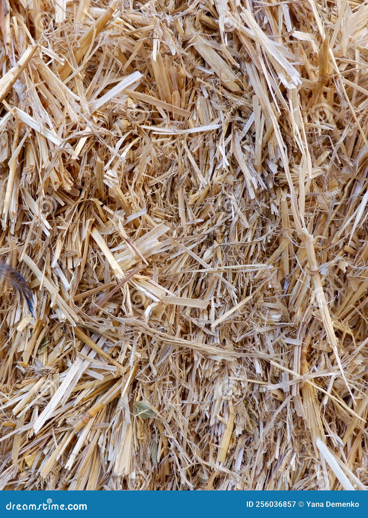 Bale of Harvested Hay for Backgrounds and Backdrops. Vertical Photo ...