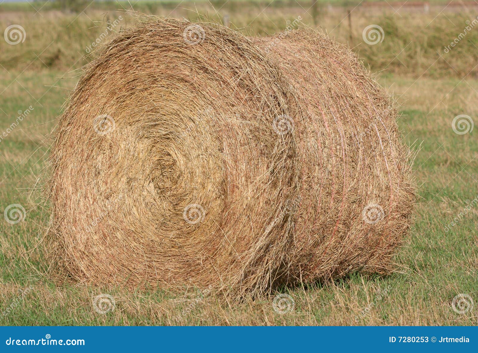 Bale of Hay stock image. Image of countryside, agriculture - 7280253