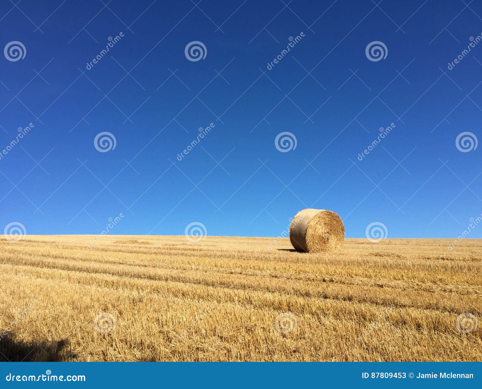 Bale of hay in field stock image. Image of plain, blue - 87809453