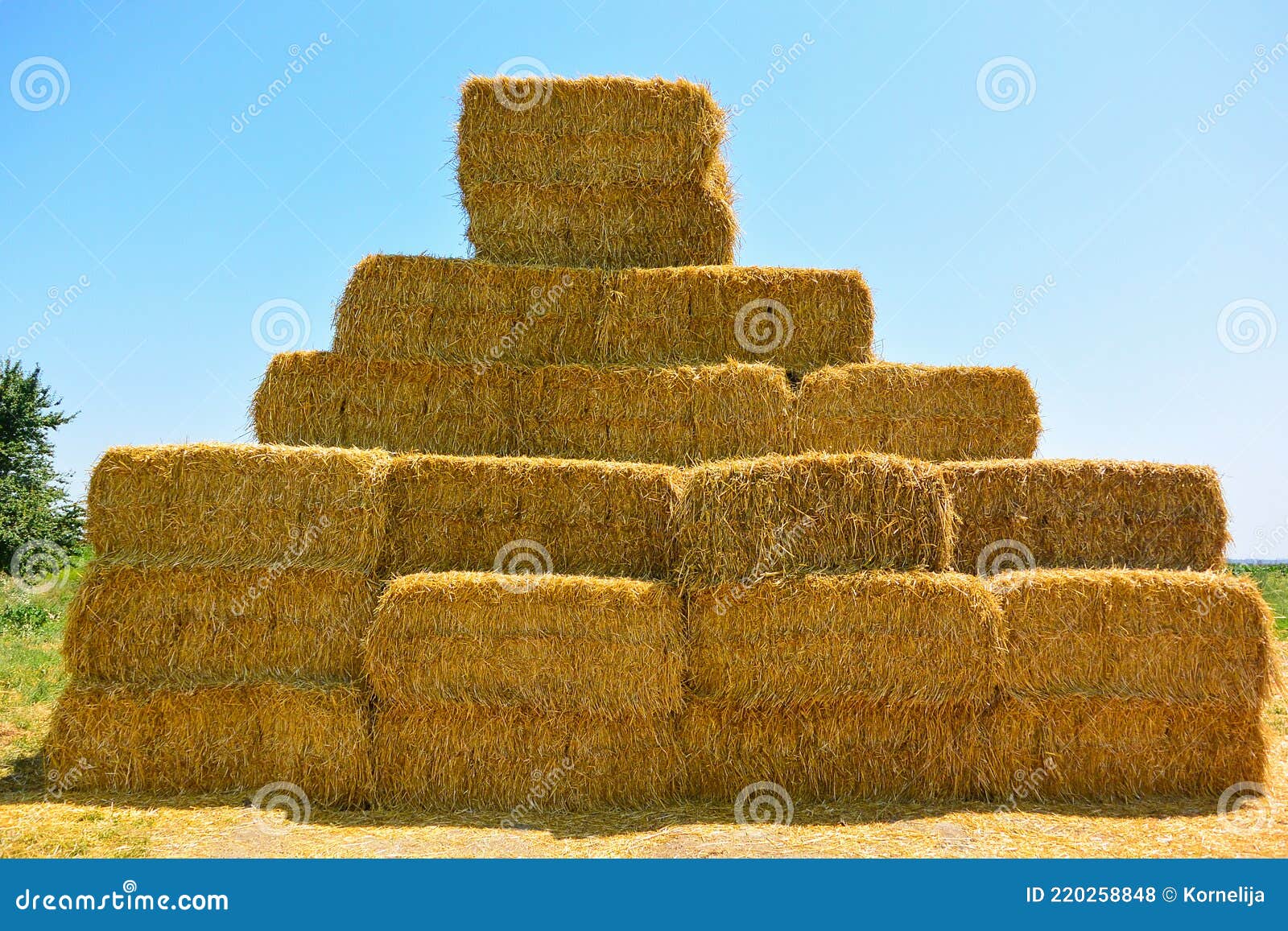 Dry Haystack, Farming Symbol of Harvest Time Stock Photo - Image of ...