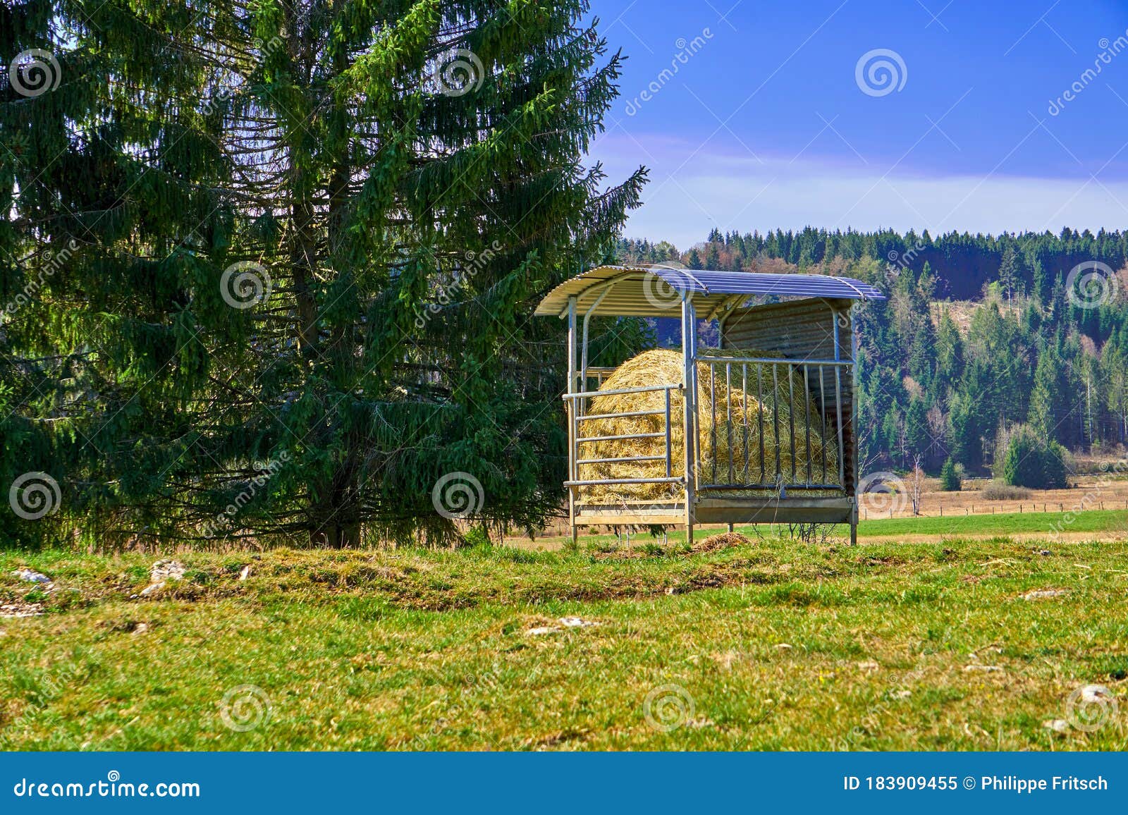 Bale of Hay Under Shelter on a Sunny Spring Day Stock Image - Image of ...