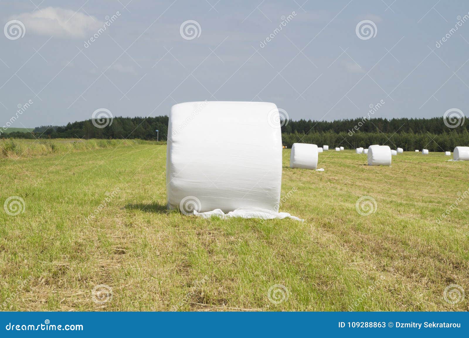 Bale of Hay Wrapped in Plastic Stock Image - Image of blue, harvesting ...