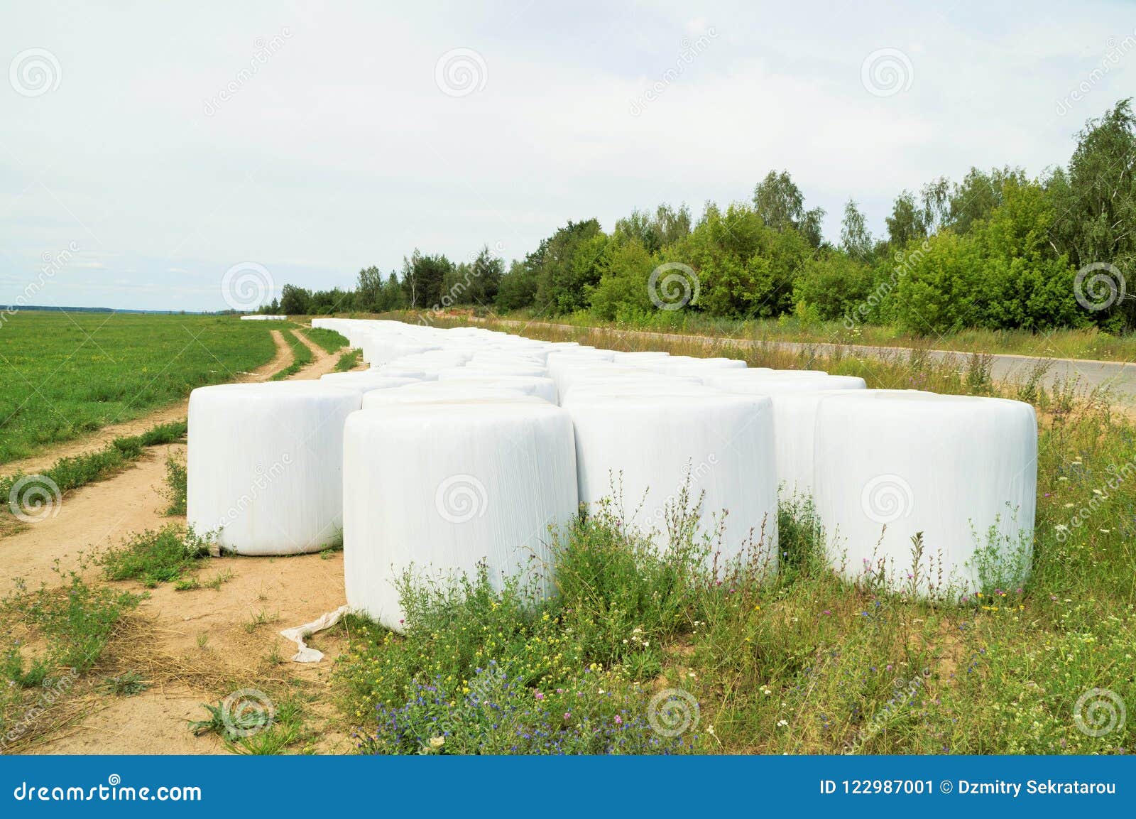 Bale of Hay Wrapped in Plastic Stock Image - Image of agricultural ...