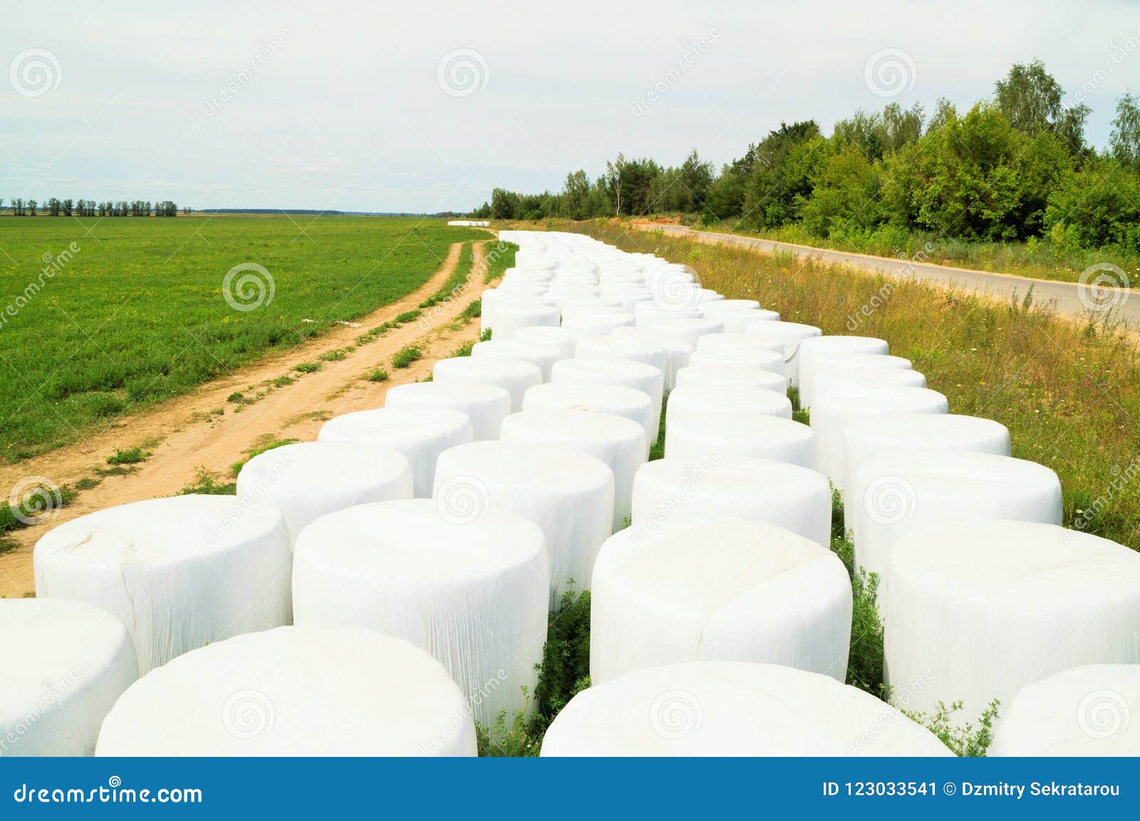 Bale of Hay Wrapped in Plastic Stock Image - Image of deserted, bale ...