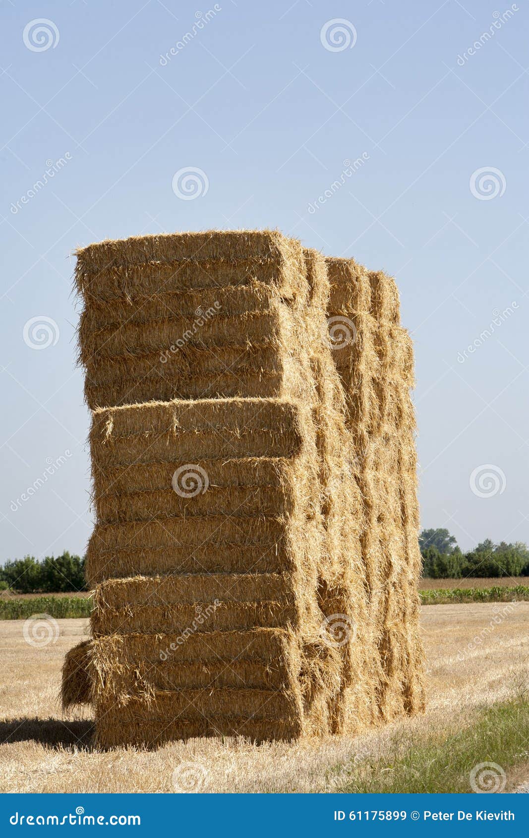 Bale of haystack stock image. Image of stack, agriculture - 61175899