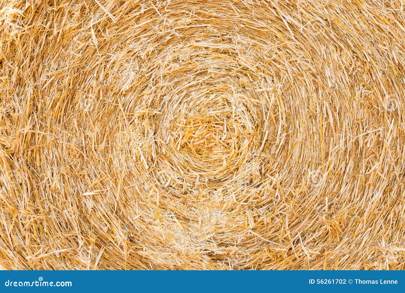 Circular Bale Of Green Hay Abstract Background Stock Image ...