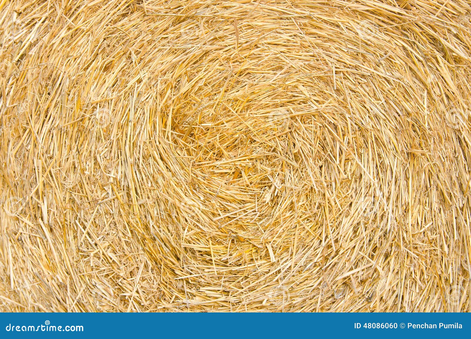 Bale roll straw texture stock photo. Image of farming - 48086060