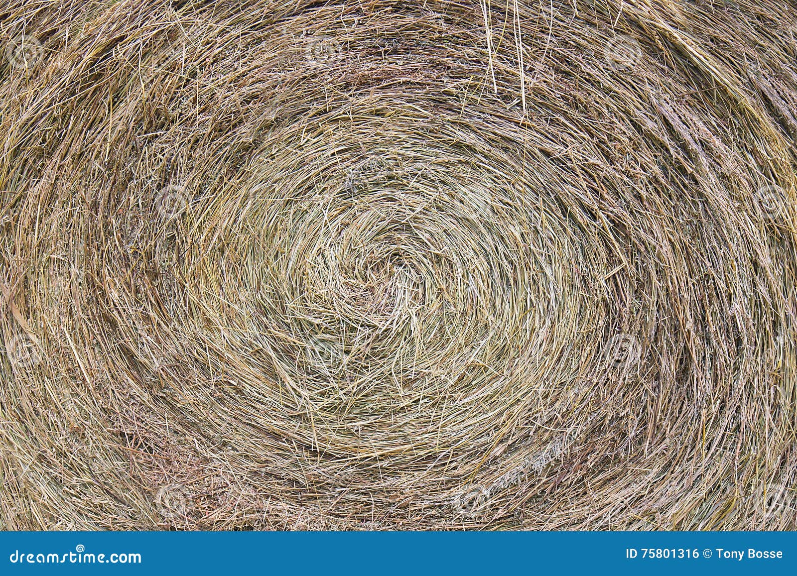 Bale Shaped Hay Texture Background Royalty-Free Stock Image ...