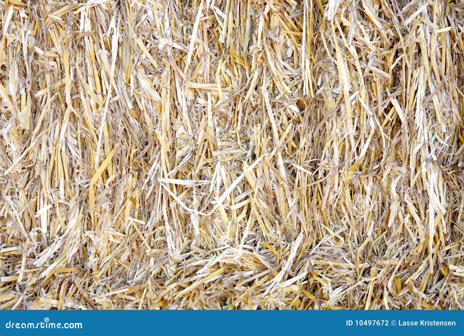 Bale of straw stock photo. Image of grow, natural, agriculture - 10497672