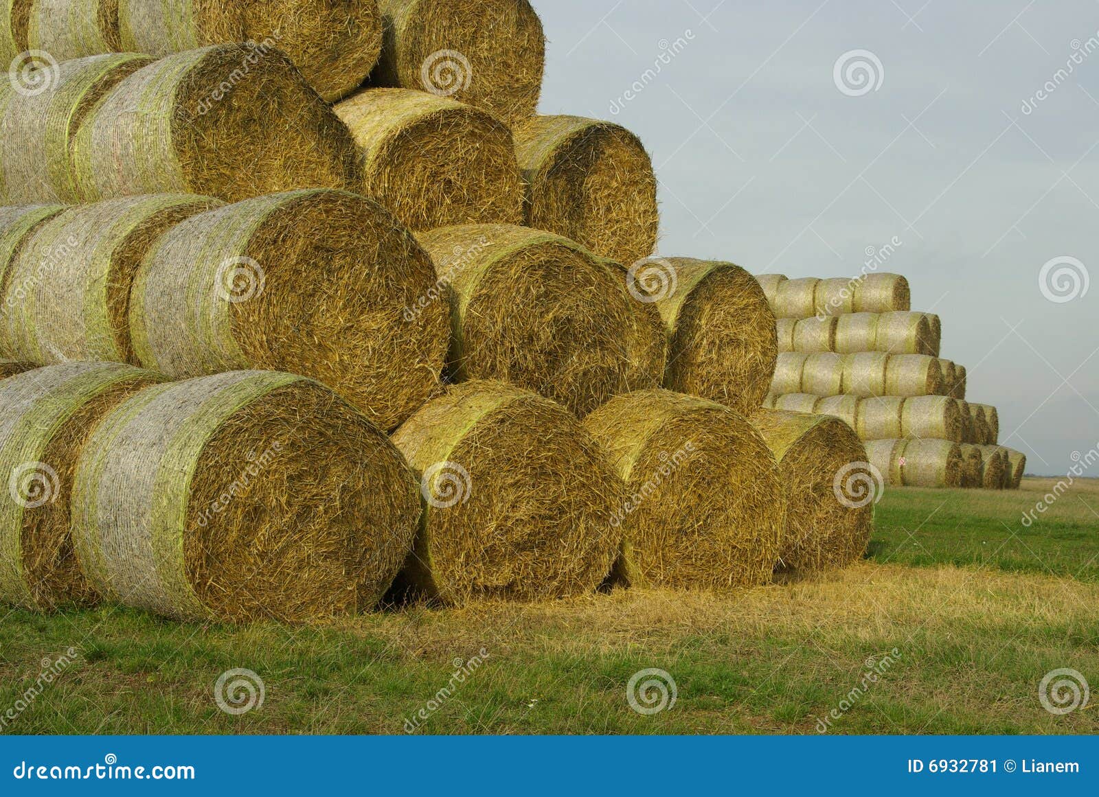 Dry Straw Stacking On Paddy Field At Thailand Countryside In Sunny Day ...