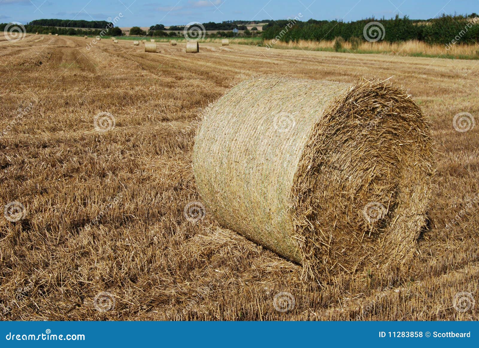 Bale of Straw in a Farm Field Stock Photo - Image of view, british ...