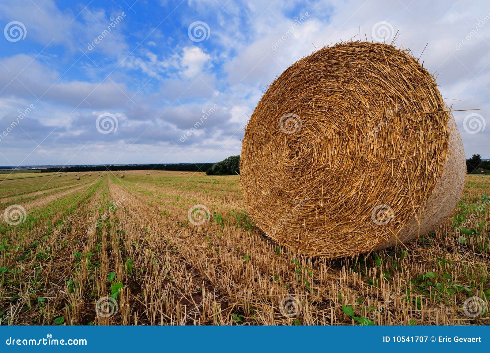 Bale of straw on farmland stock image. Image of brown - 10541707