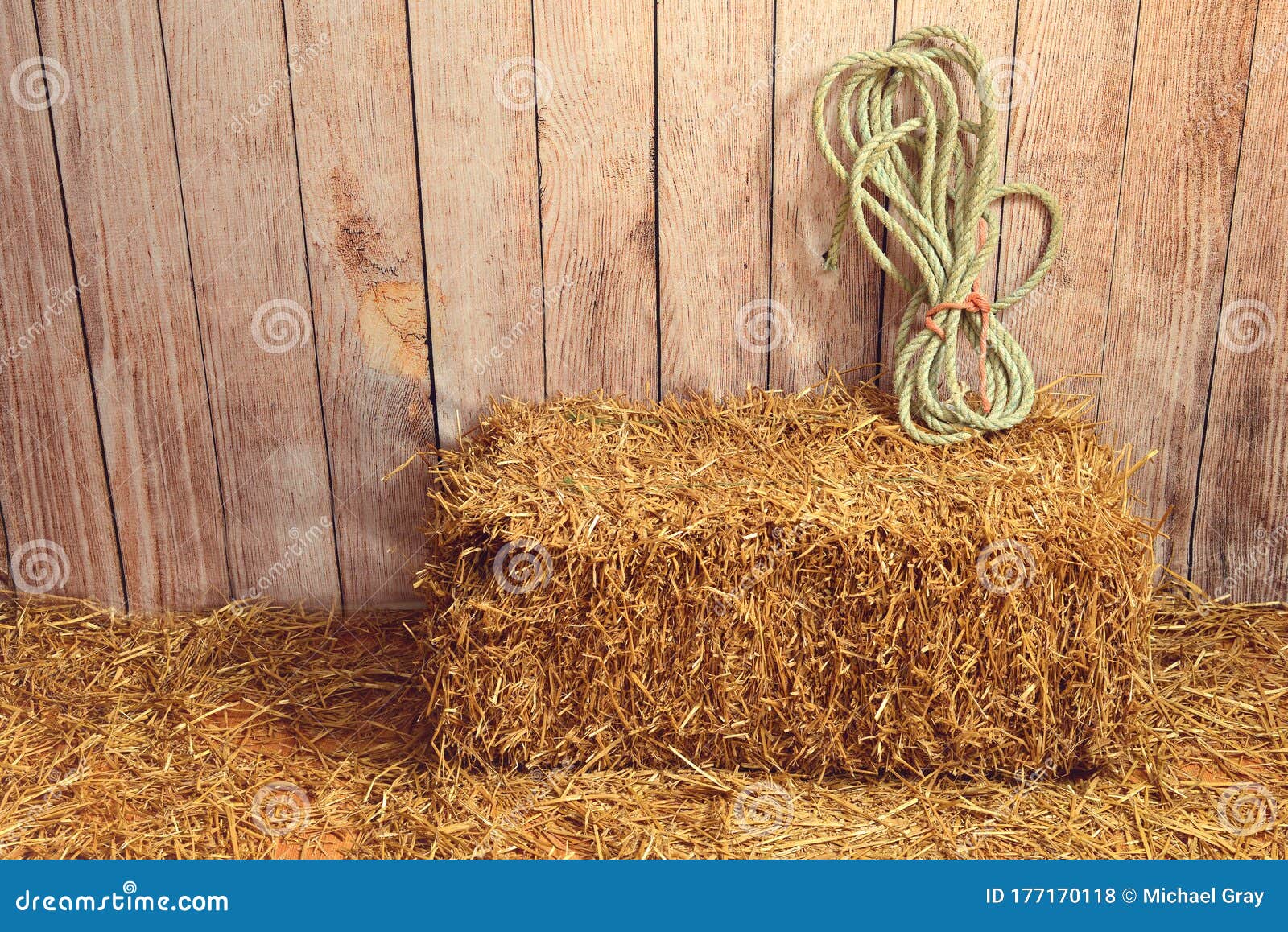 Bale of Straw with Rope and Wood Wall Stock Photo - Image of barn ...