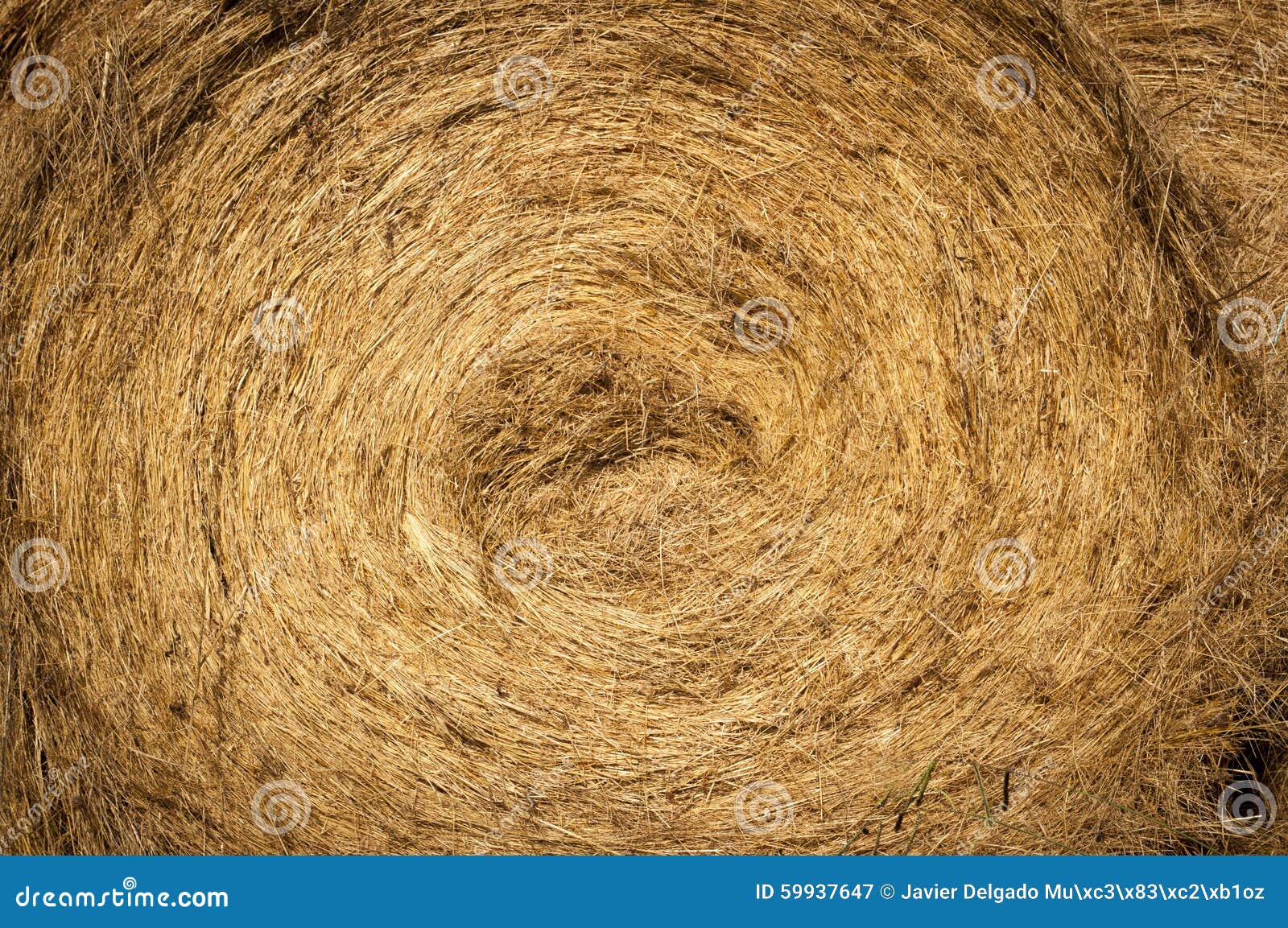 Bale stock image. Image of texture, field, heap, agriculture - 59937647