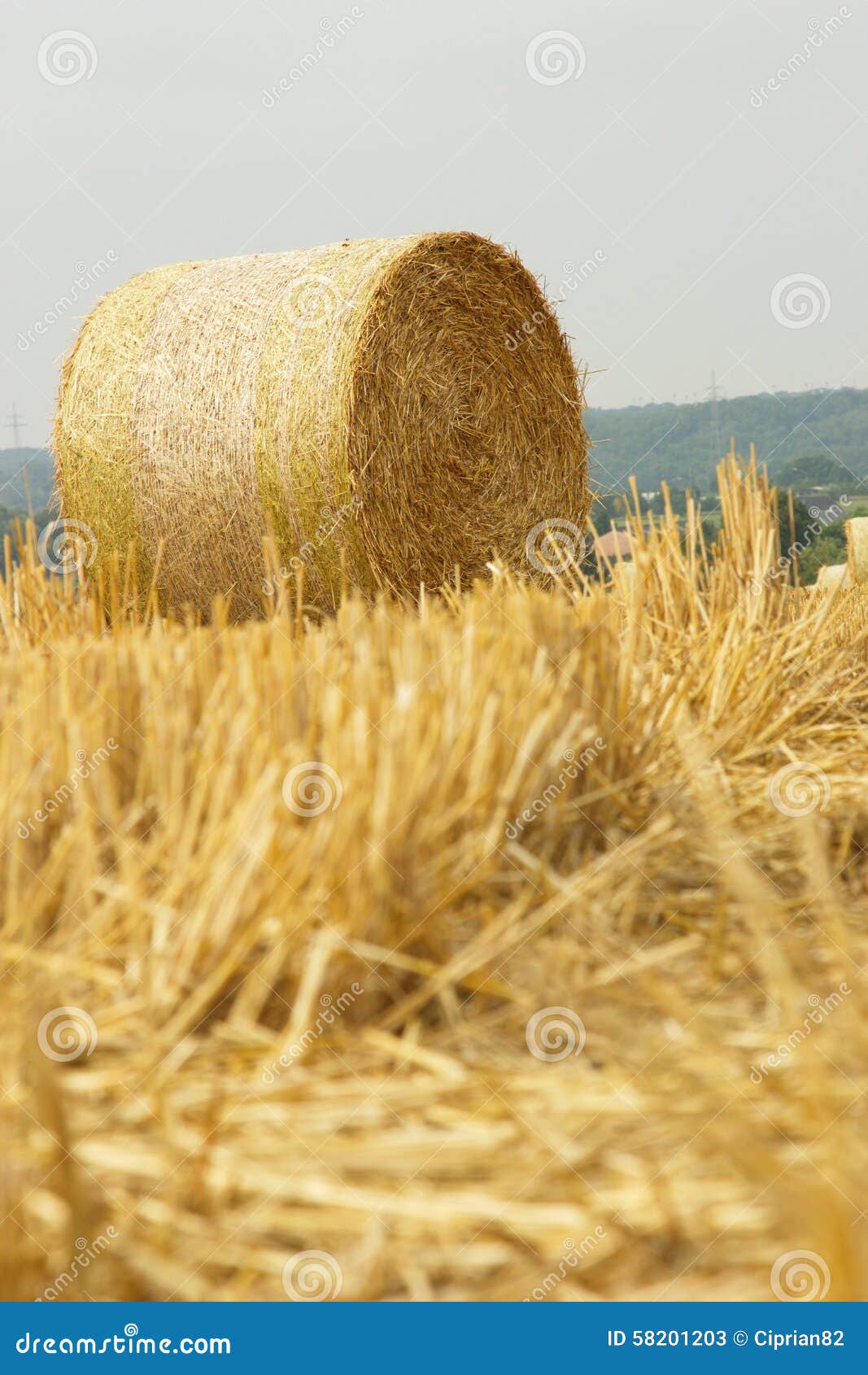 Bale of wheat strows stock image. Image of background - 58201203