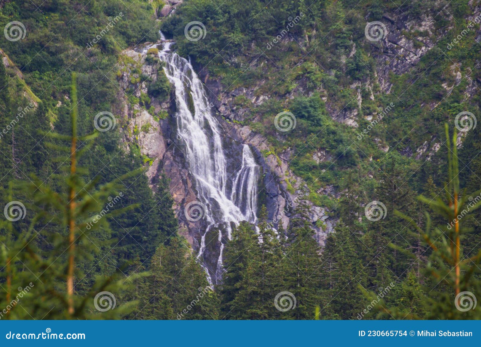 Balea Waterfall Seen through Pine Trees Stock Photo - Image of ...
