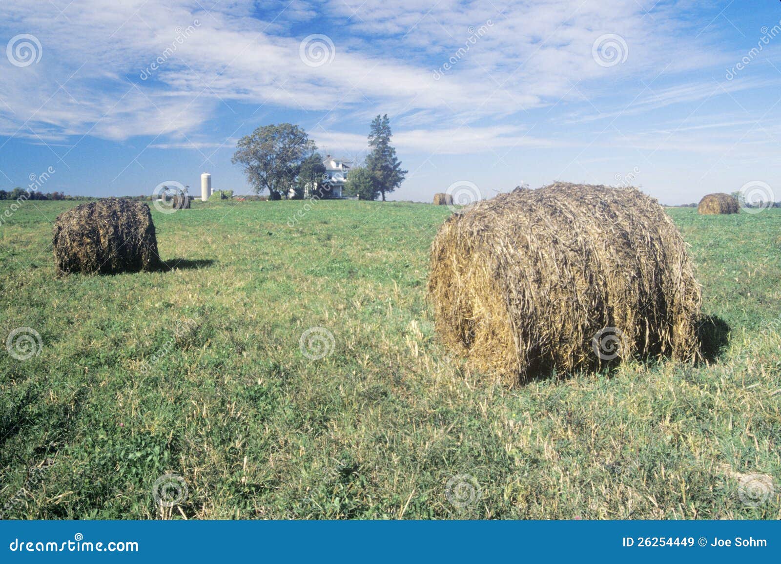 Baled hay in field editorial stock image. Image of food - 26254449