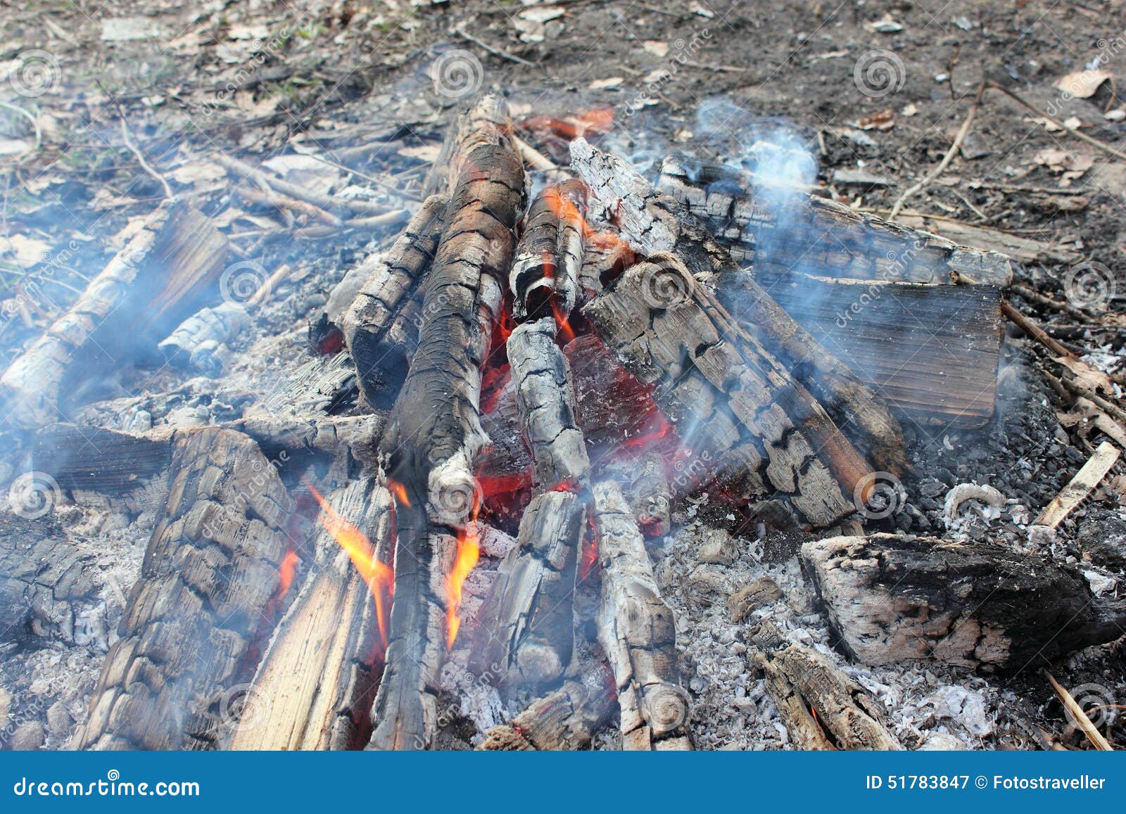 Balefire stock image. Image of meat, roast, pork, fades - 51783847