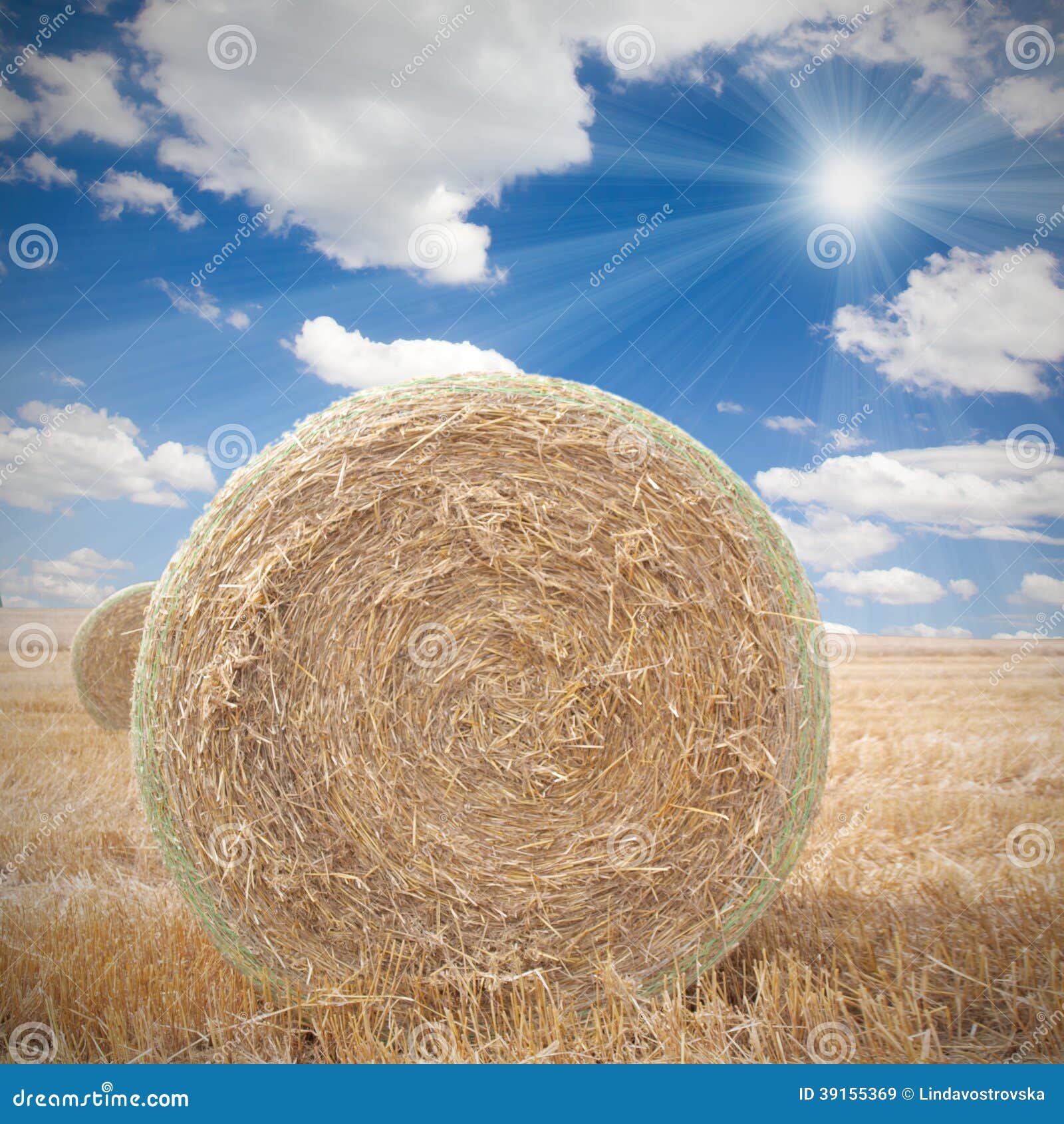 Balen stock afbeelding. Image of landbouw, graangewas - 39155369