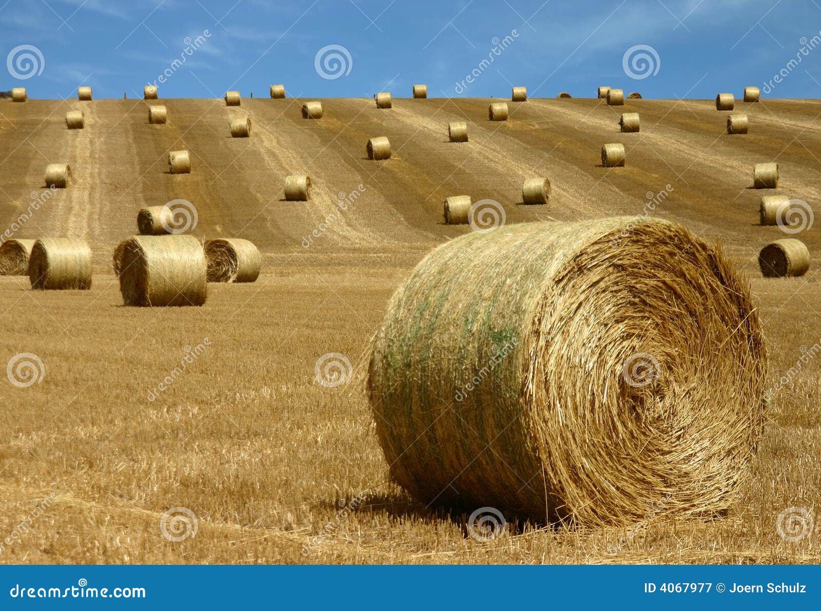 Balen van stro stock afbeelding. Image of beige, droog - 4067977