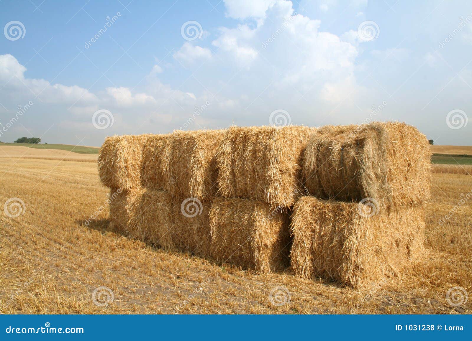 Balen Van Stro Blauwe Hemel Stock Foto - Image of graan, besnoeiing ...