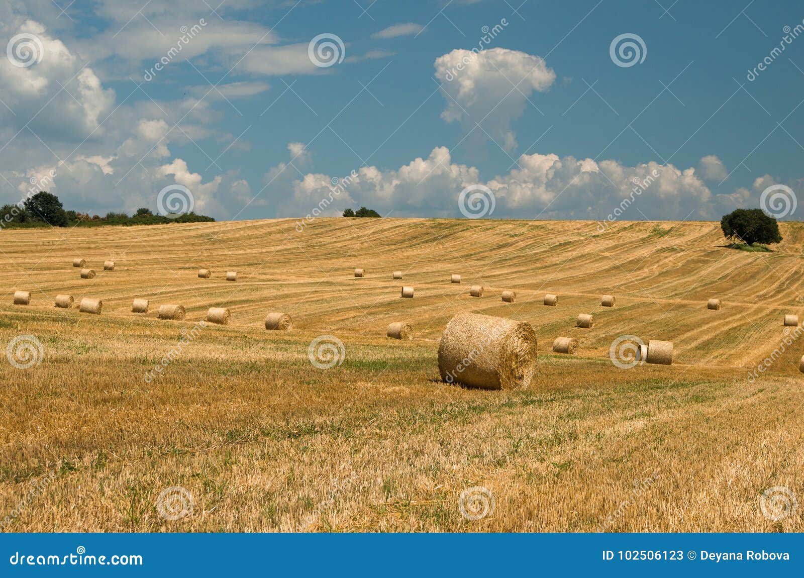 Balen Van Stro Niveaus Met Balen Stock Afbeelding - Image of ...