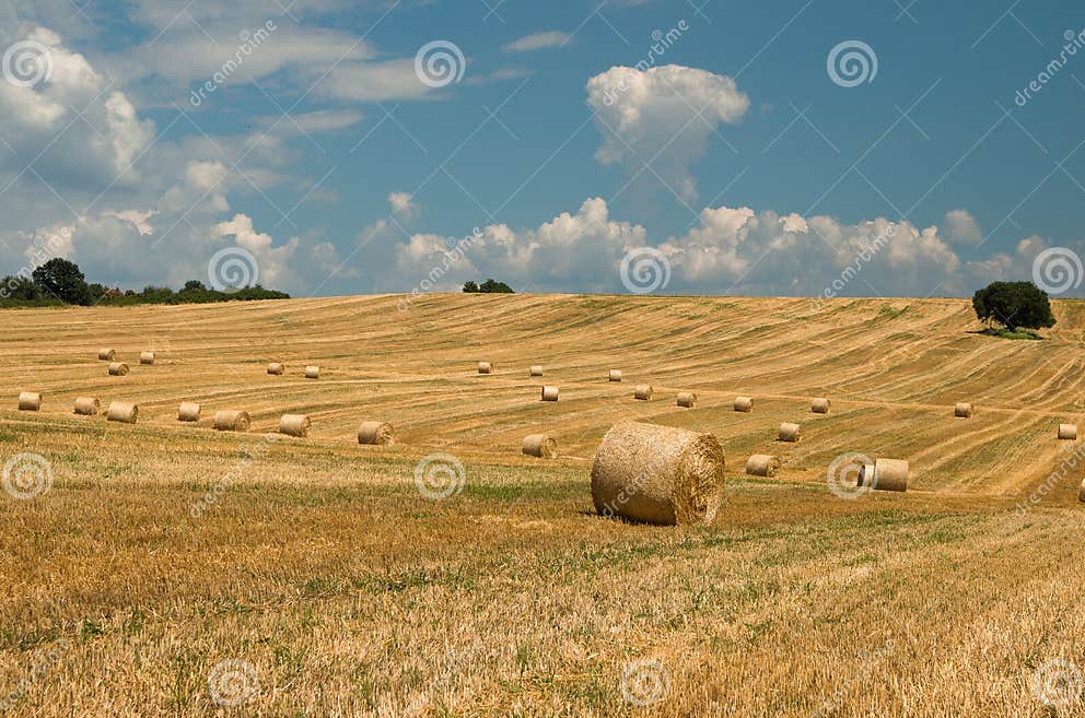 Balen Van Stro Niveaus Met Balen Stock Afbeelding - Image of ...