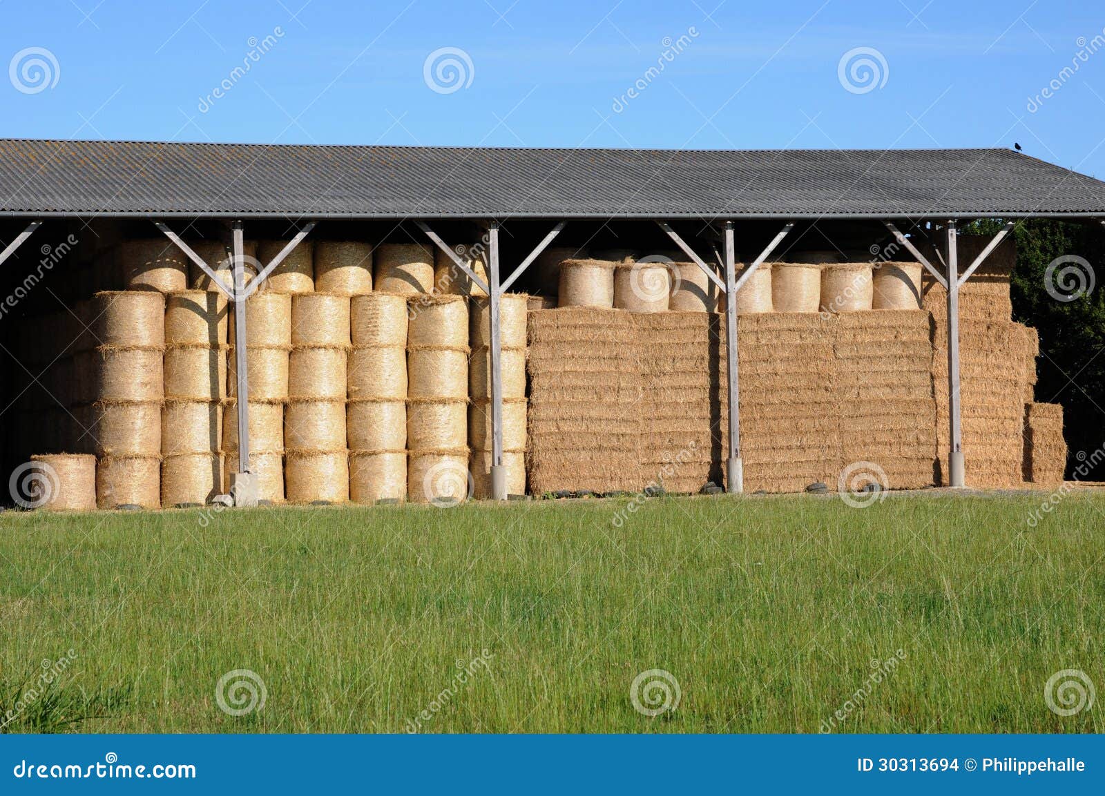 Balen Van Stro in Normandie Stock Foto - Image of buiten, oogst: 30313694