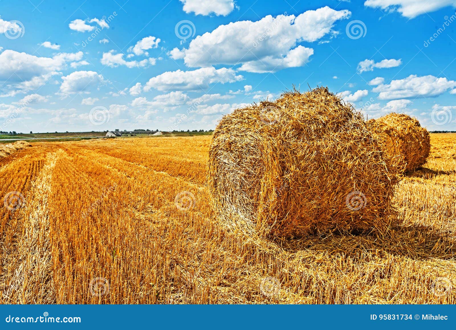 Balen Van Stro Op Ingediend Na Het Oogsten Stock Foto - Image of ...