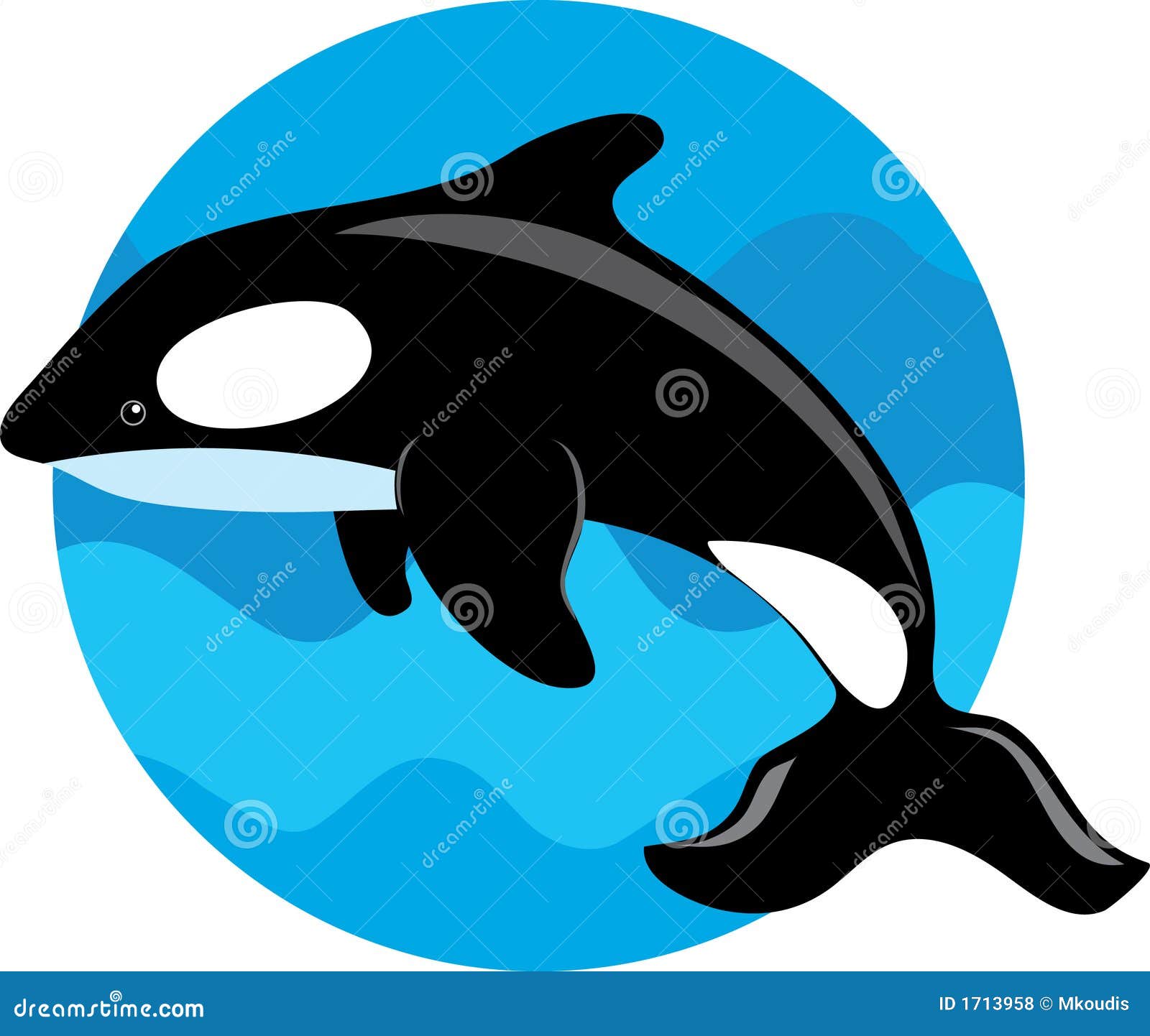 Balena dell'orca illustrazione vettoriale. Illustrazione di nuoto - 1713958
