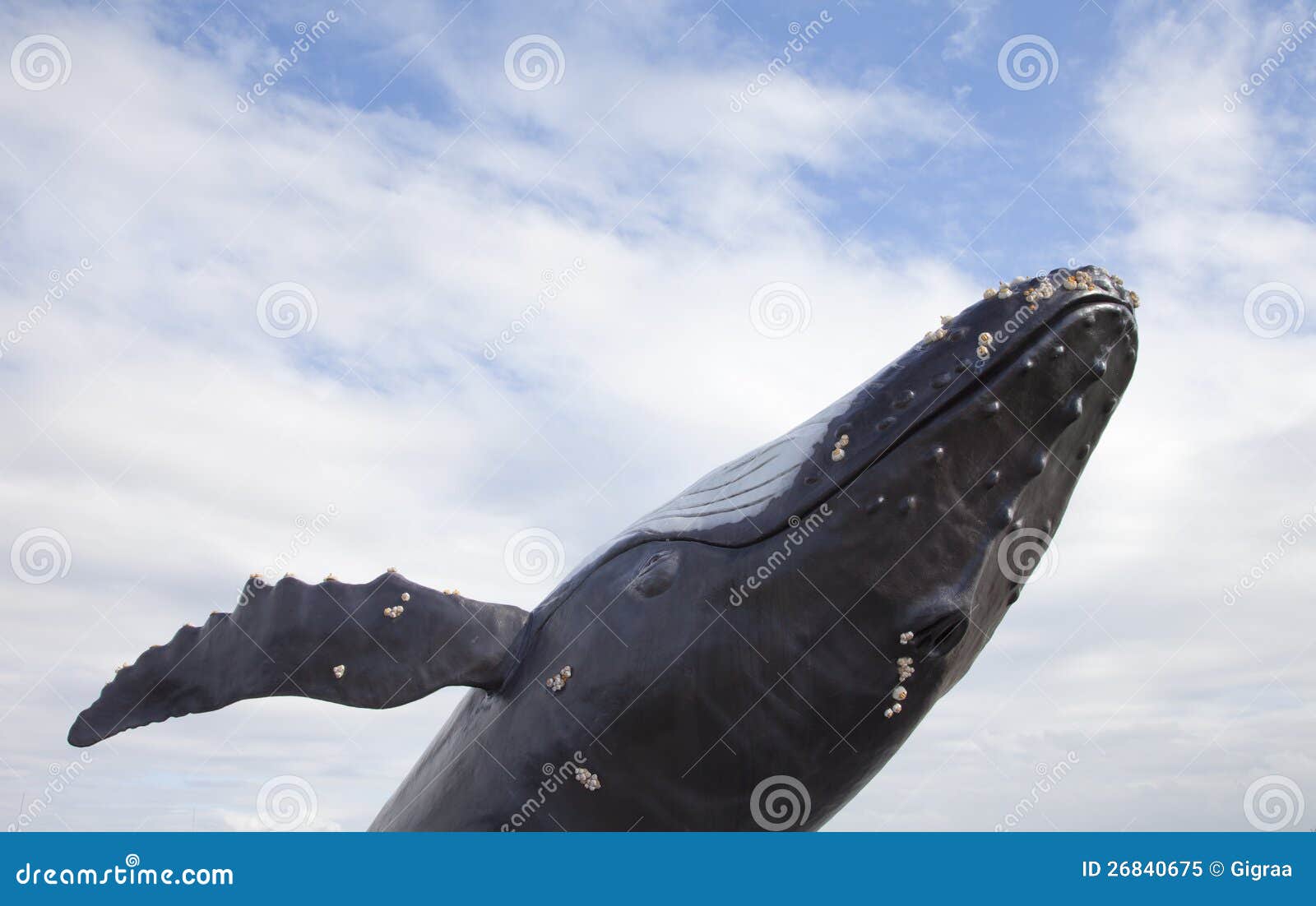 Balena Di Humpback Con Cielo Blu Immagine Stock - Immagine di acquatico ...